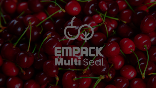 Empack Home - Empack